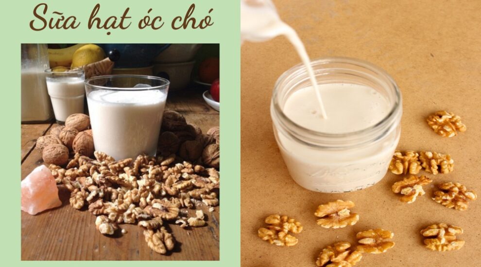 Top 5 cách làm sữa óc chó thơm ngon bổ dưỡng cho bé yêu